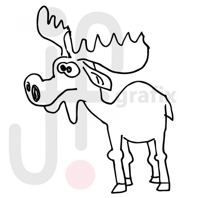 Elche Archive - Tierisch gut! Tierbilder